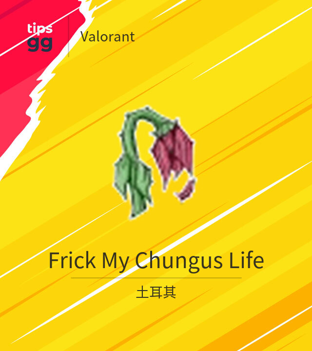 Frick My Chungus Life Valorant队来自土耳其 | Tips.GG