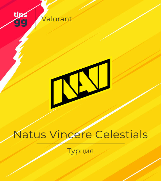 Natus Vincere Celestials команда Valorant (Турция) | Tips.GG