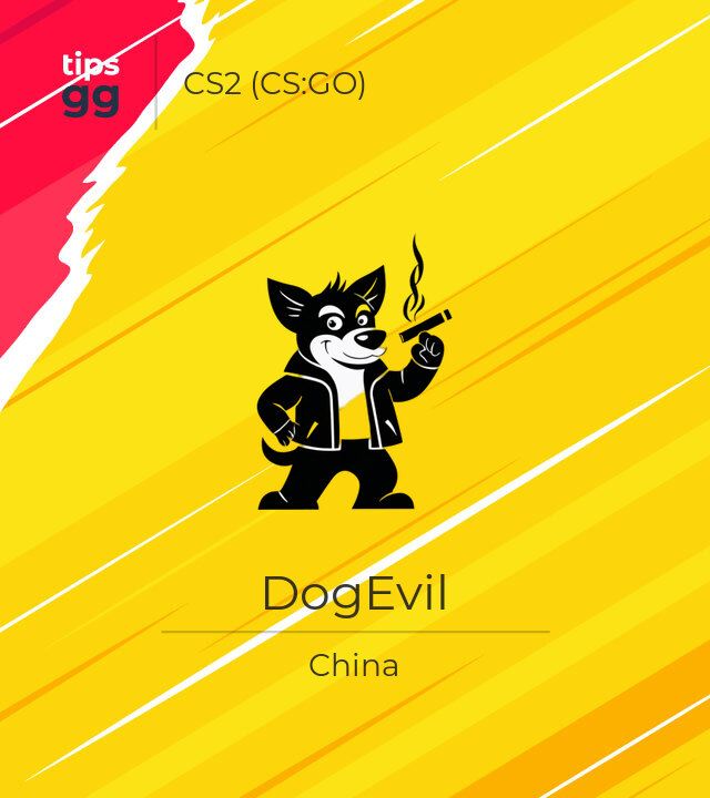 DogEvil CS2 (CS:GO) Team from China | Tips.GG