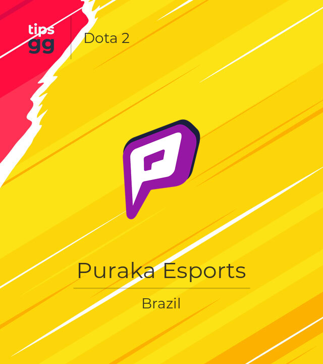Puraka Esports Dota 2 Team from Brazil | Tips.GG
