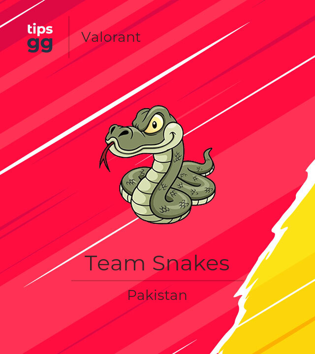 Team Snakes Valorant Team from Pakistan | Tips.GG