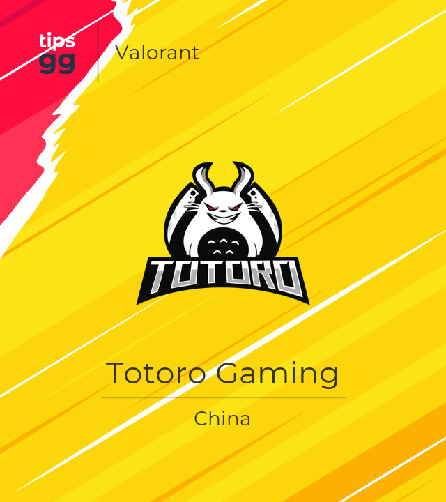 Totoro Gaming Valorant Team from China | Tips.GG