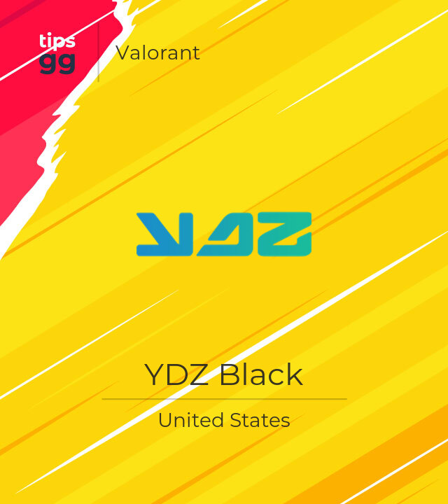 YDZ Black Valorant Team from United States | Tips.GG